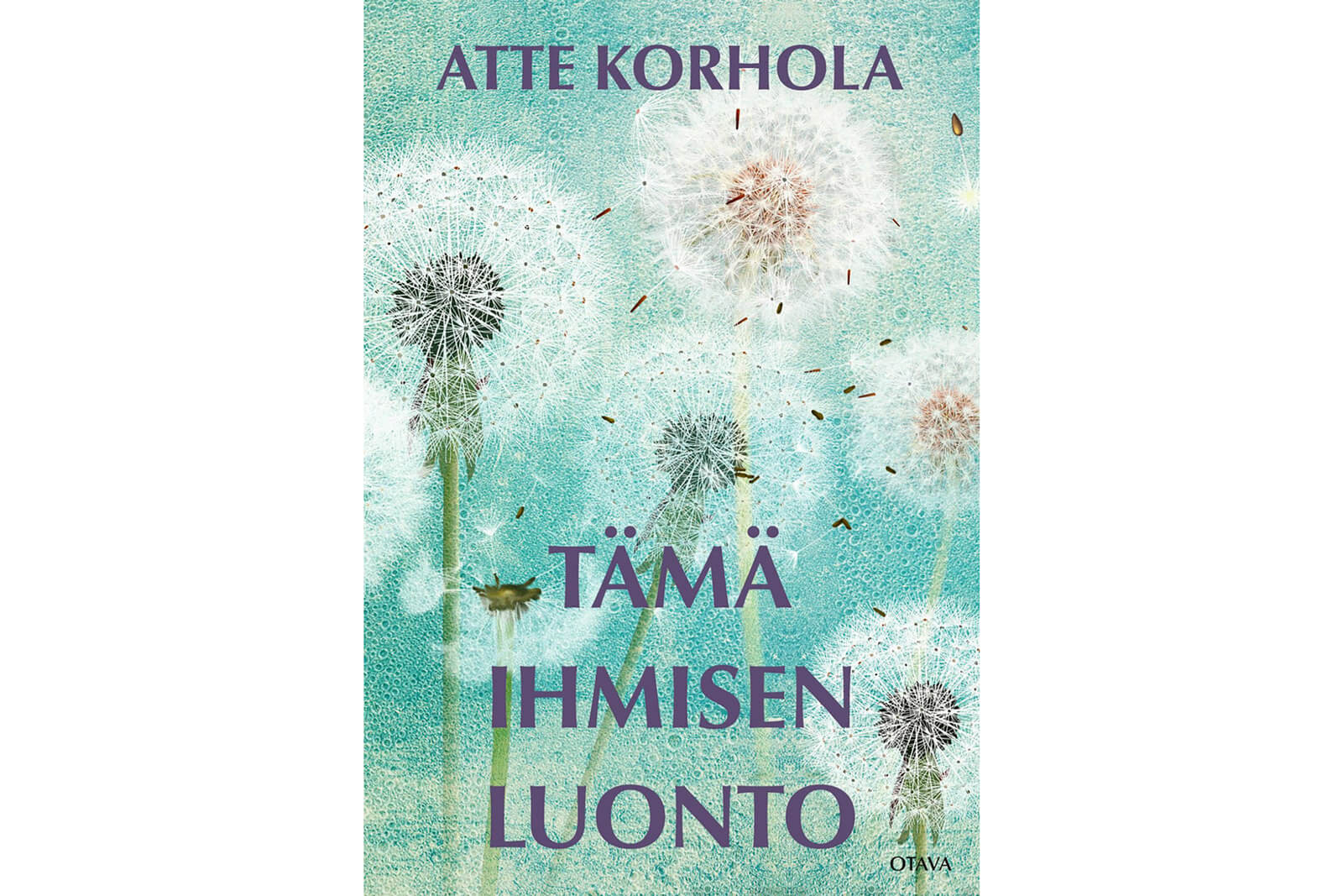 Atte Korhola: ”On kaikki mahdollisuudet ehkäistä ilmastokatastrofi ...